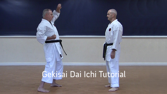 Goju Ryu Karate Stances